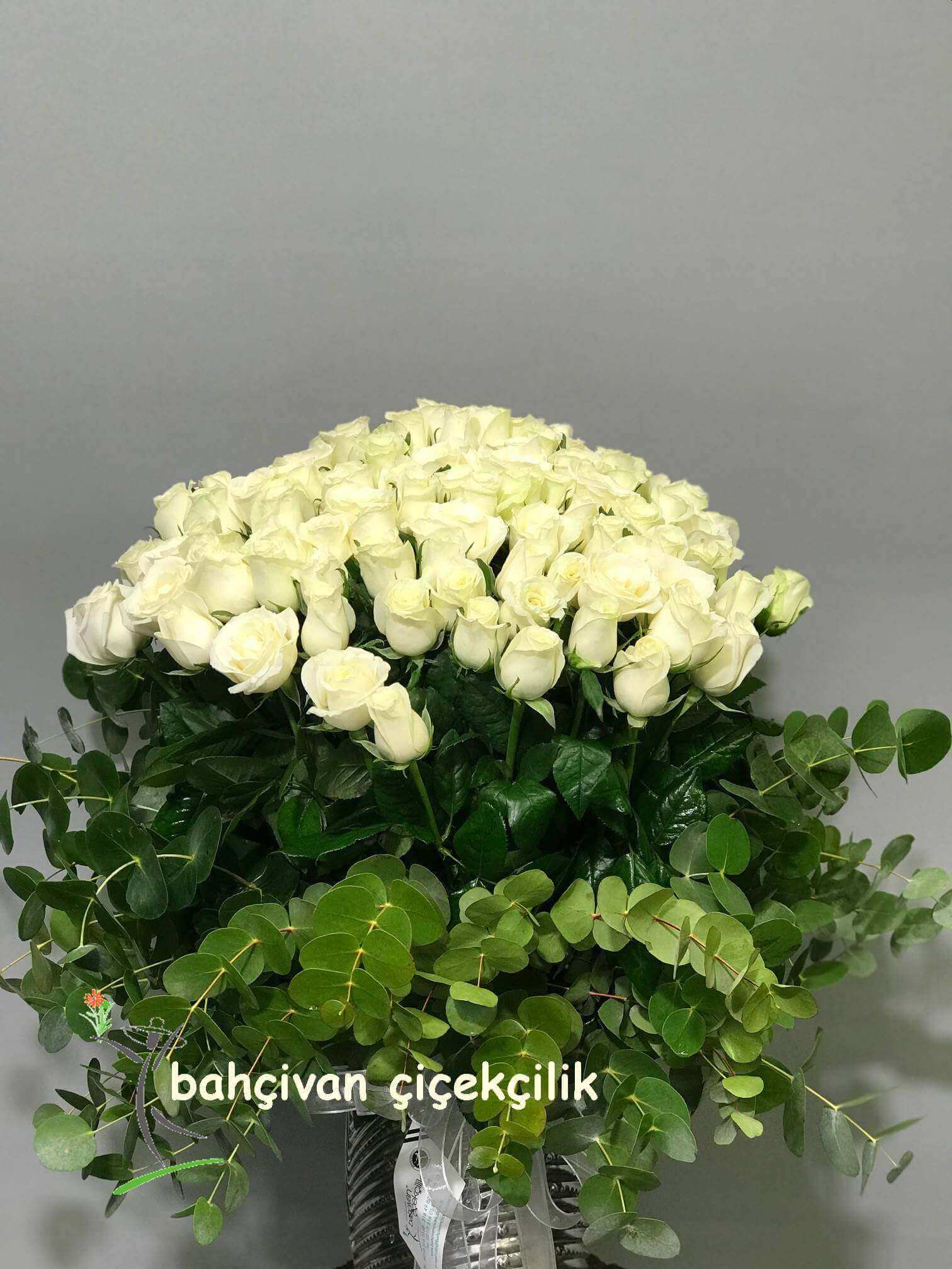 Beyaz Gül Bahçesi çiçekçi, Beyaz Gül Bahçesi çiçek gönder